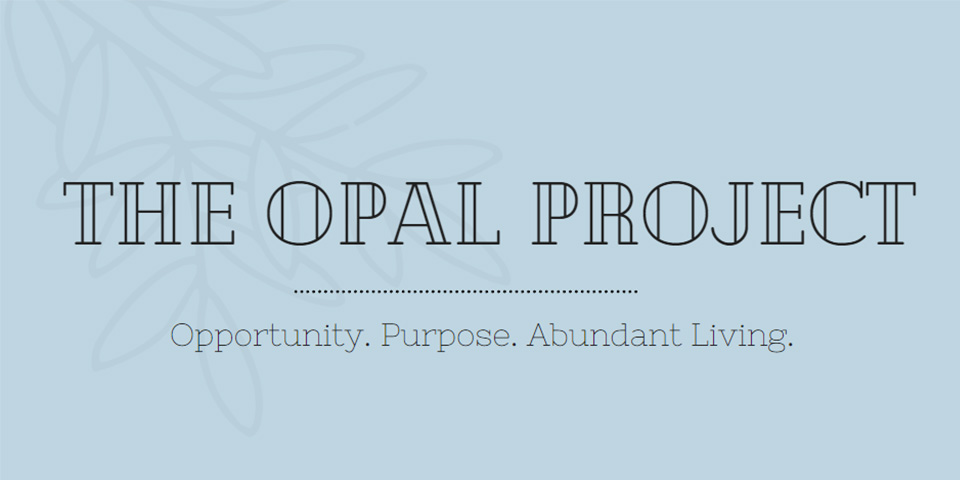 ShopRaise for The OPAL Project Incorporated